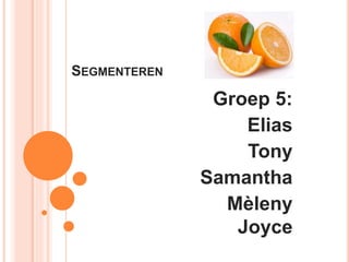 Ppt segmenteren | PPT
