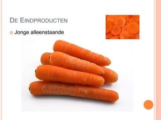 Ppt segmenteren | PPT