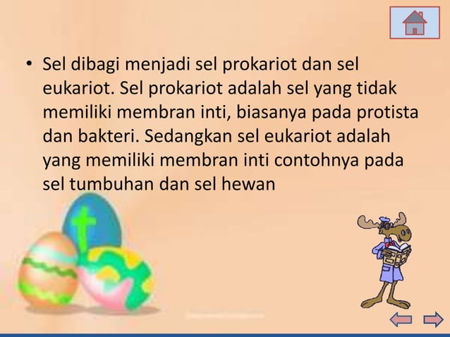 Ppt. sel | PPTX