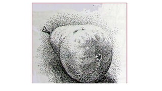 ppt-seni-rupa-gambar-model_compress.pdf