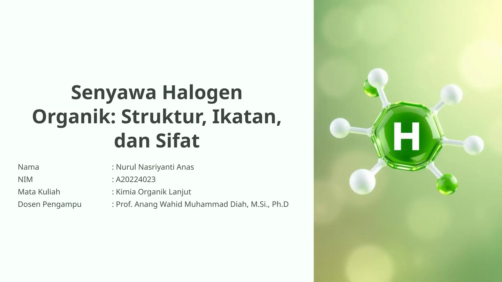 PPT-SENYAWA HALOGEN ORGANIK-NURUL NASRIYANTI ANAS.pptx