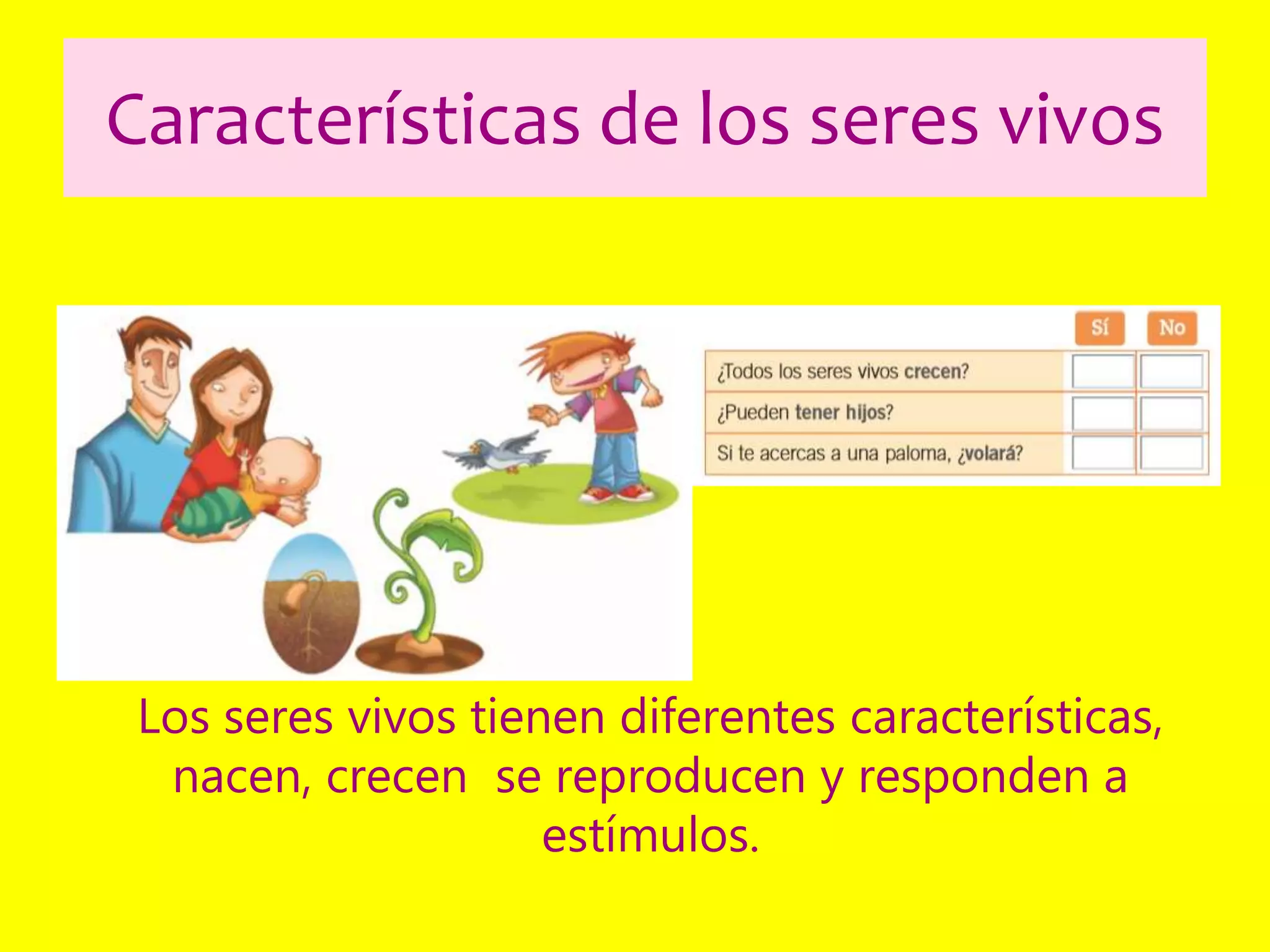 PPT-SERES-VIVOS-1°A-y-1°B-2020.pptx