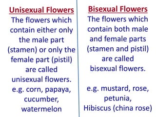 PPT- SEXUAL REPRODUCTION IN PLANTs and human | PDF