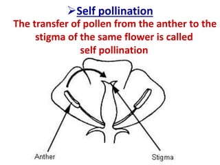 PPT- SEXUAL REPRODUCTION IN PLANTs and human | PDF