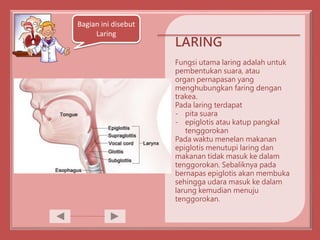 Ppt-Sistem-Pernapasan.pptx