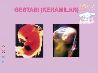 PPT-Sistem-Reproduksi-Manusia-Kelas-9-Kurikulum-2013.pptx