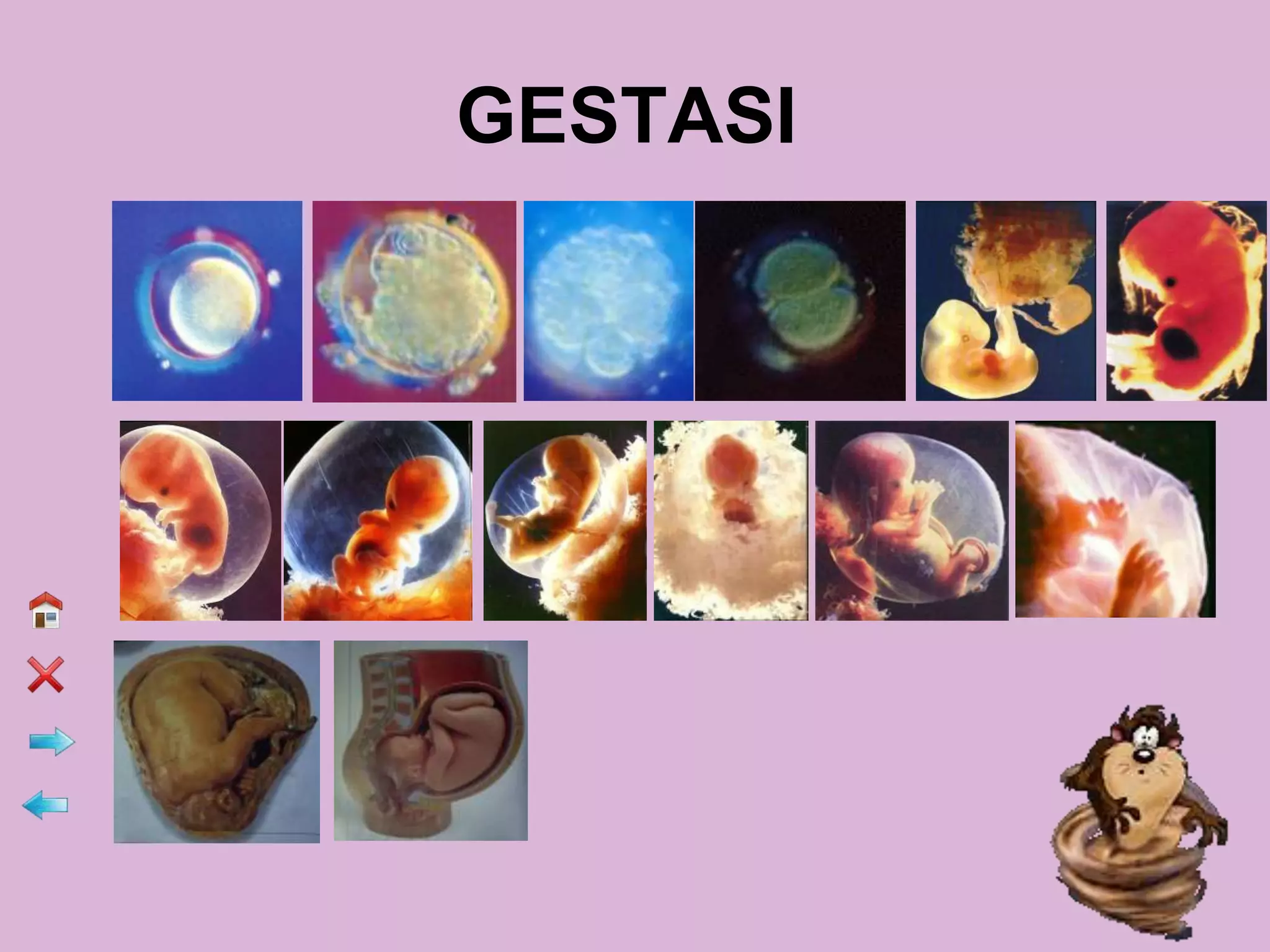 PPT-Sistem-Reproduksi-Manusia-Kelas-9-Kurikulum-2013.pptx