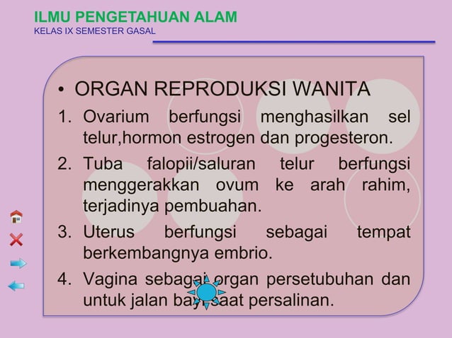 PPT-Sistem-Reproduksi-Manusia-Kelas-9-Kurikulum-2013.pptx