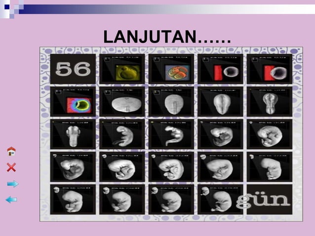 PPT-Sistem-Reproduksi-Manusia-Kelas-9-Kurikulum-2013.pptx