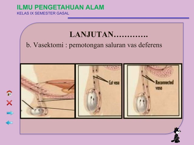 PPT-Sistem-Reproduksi-Manusia-Kelas-9-Kurikulum-2013.pptx