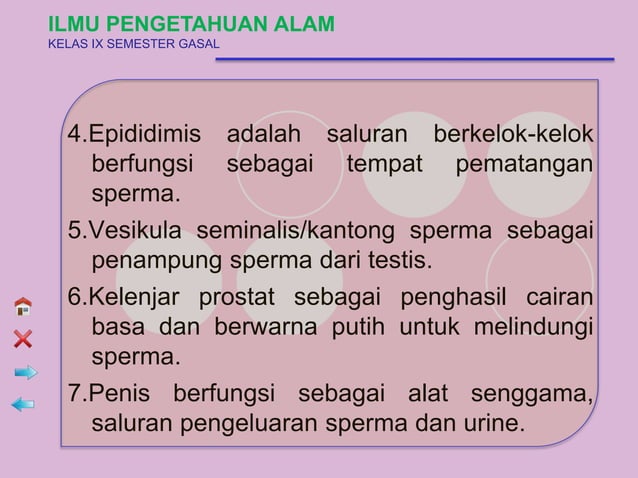 PPT-Sistem-Reproduksi-Manusia-Kelas-9-Kurikulum-2013.pptx