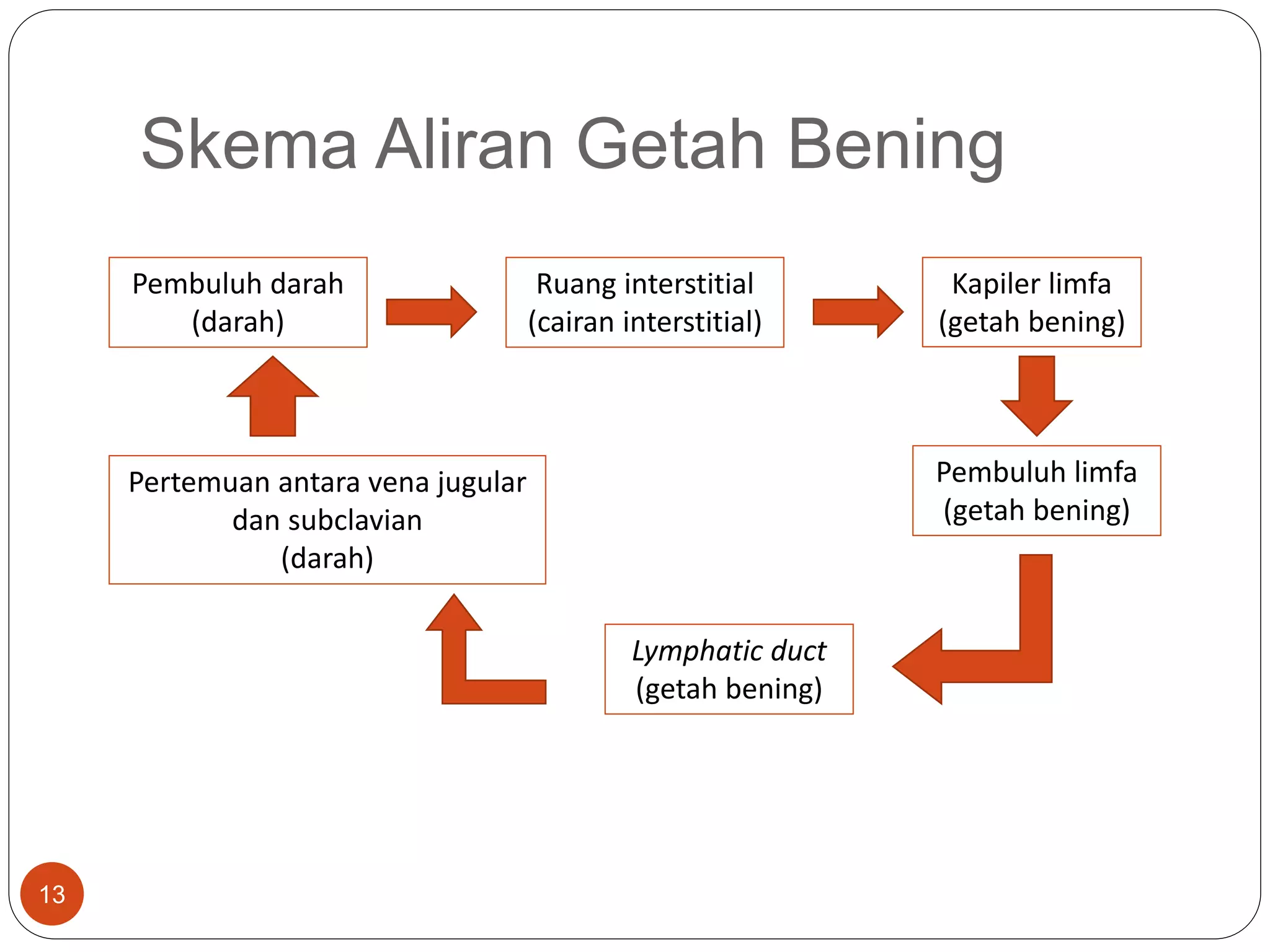 PPT - Sistem Limfatik.ppt