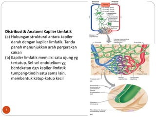 PPT - Sistem Limfatik.ppt
