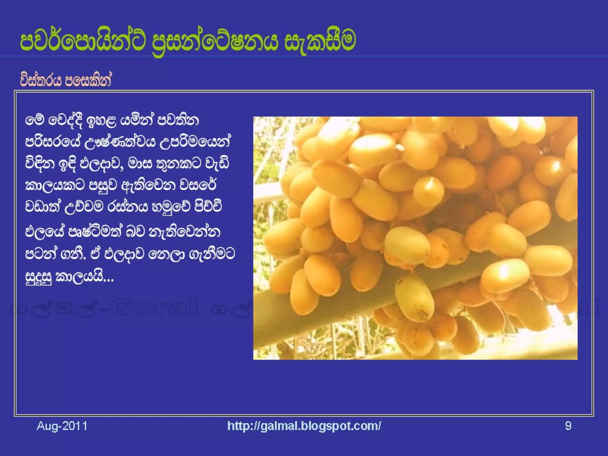 Preparing and Uploading Presentation in SlideShare (Sinhala) | PPT