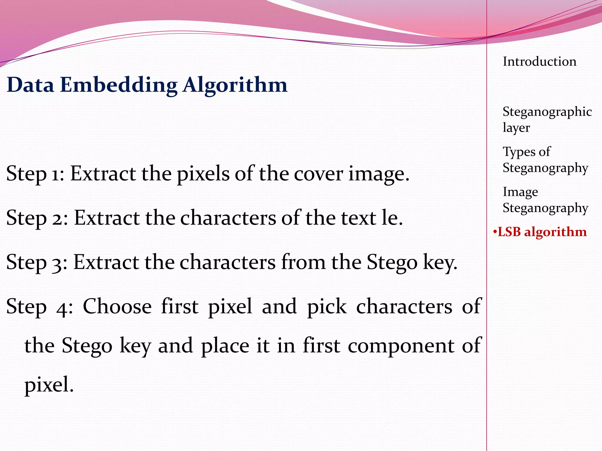 Image Steganography using LSB | PPTX