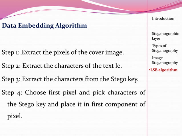 Image Steganography using LSB | PPTX | Photo Editing Software ...