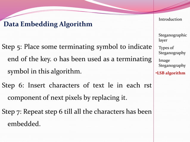 Image Steganography using LSB | PPTX | Photo Editing Software ...