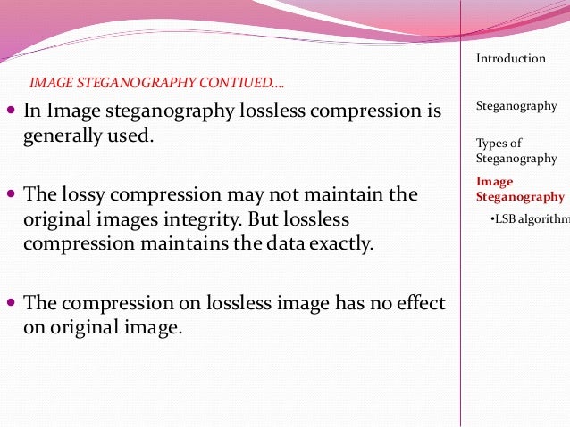 Image Steganography Using Lsb
