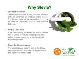 PPT-Stevia.ppt