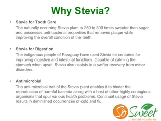 PPT-Stevia.ppt