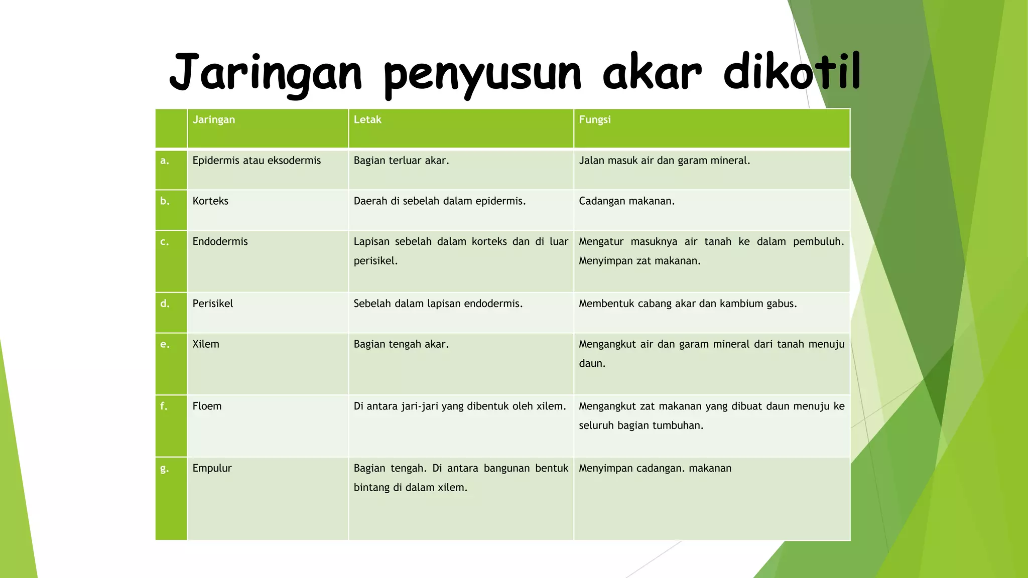 PPT-Struktur-dan-Fungsi-Tumbuhan ADHIXIONS.pptx