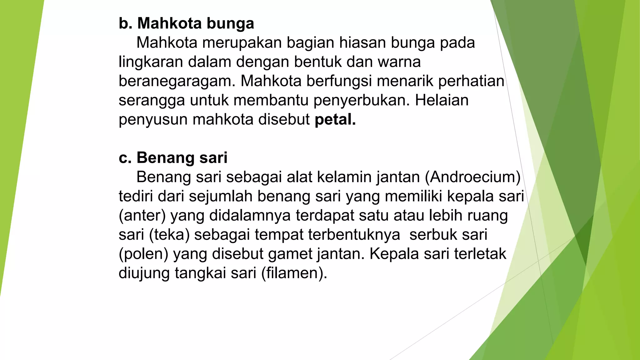 PPT-Struktur-dan-Fungsi-Tumbuhan ADHIXIONS.pptx