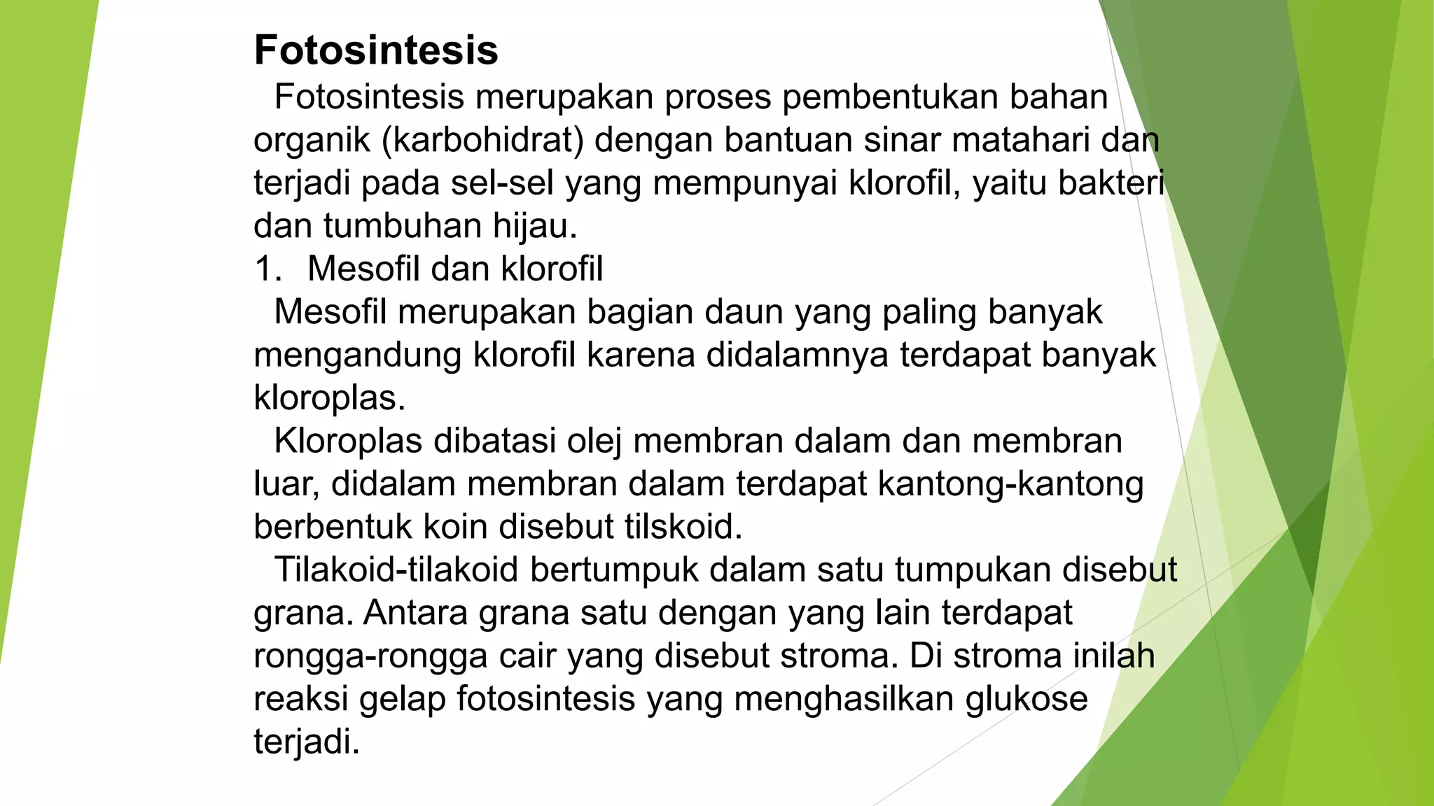 PPT-Struktur-dan-Fungsi-Tumbuhan ADHIXIONS.pptx