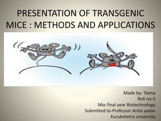 tansgenic mice:methodology and application | PPTX