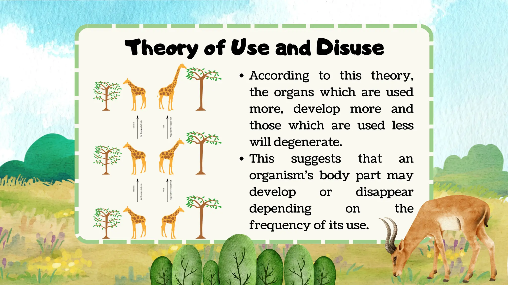PPT - THEORIES OF EVOLUTION (Science 10 Quarter 3).pdf