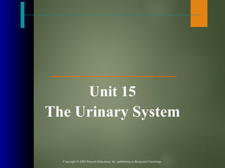 PPT_-_The_Urinary_System. Important part in medical field | PPT