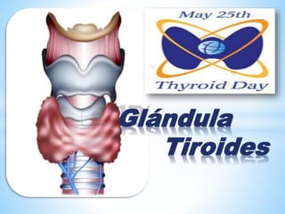 Fisiologia de la Glandula Tiroides , hipertiroidismo e hipotiroidismo ...