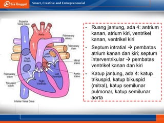 Anatomi-dan-Fisiologi.pdf
