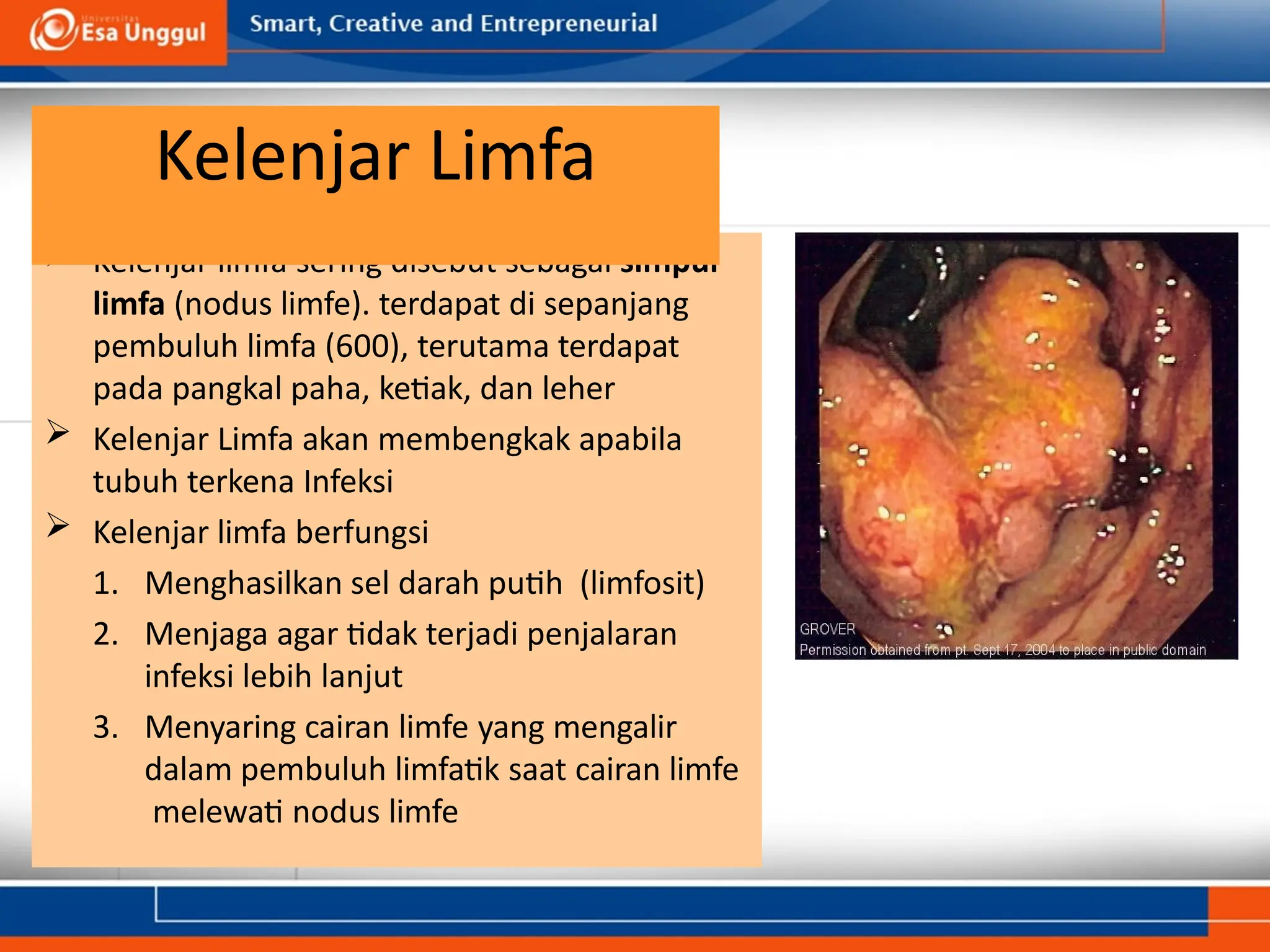 PPT-UEU-Anatomi-dan-Fisiologi-2-Pertemuan-5.pptx