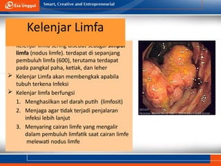 PPT-UEU-Anatomi-dan-Fisiologi-2-Pertemuan-5.pptx