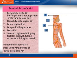 PPT-UEU-Anatomi-dan-Fisiologi-2-Pertemuan-5.pptx