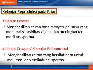 PPT-UEU-Anatomi-dan-Fisiologi-2-Pertemuan-8 (1).pptx