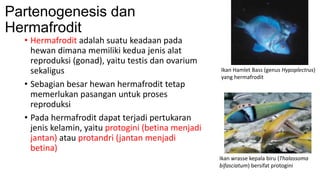 PPT-UEU-Anatomi-dan-Fisiologi-Hewan-Pertemuan-14.pdf
