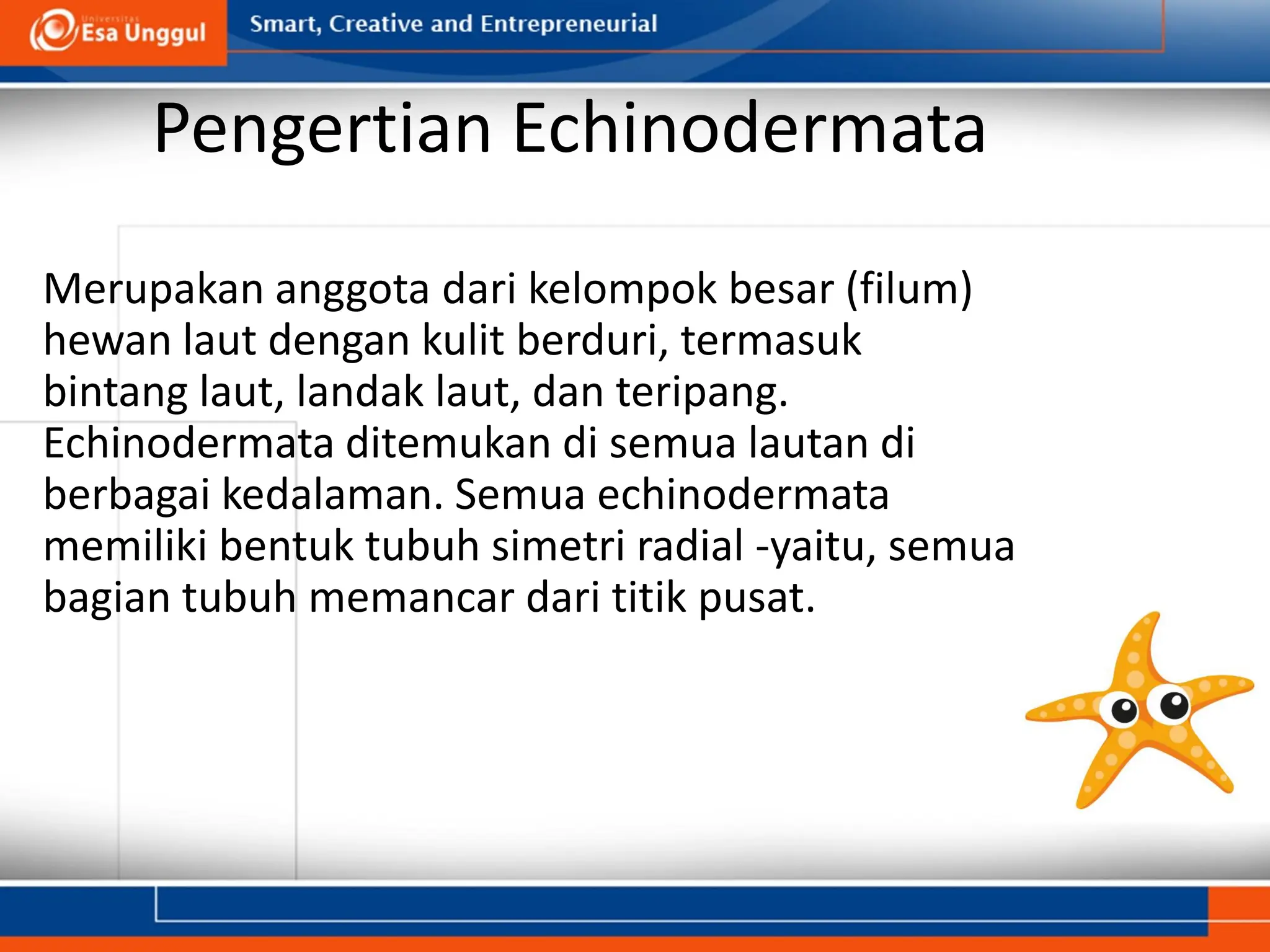 PPT-UEU-Anatomi-dan-Fisiologi-Hewan-Pertemuan-6.pdf
