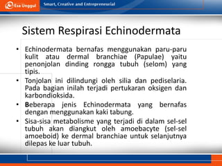PPT-UEU-Anatomi-dan-Fisiologi-Hewan-Pertemuan-6.pdf