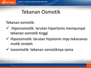 PPT-UEU-Anatomi-dan-Fisiologi-Hewan-Pertemuan-9.pdf