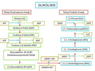 askfhiudsfgyuedbvyurdyvugryyrgvyryrvrevre | PPT