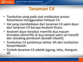 PPT-UEU-Anatomi-dan-Fisiologi-Tumbuhan-Pertemuan-9.pptx