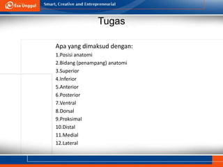 PPT-UEU-Anatomi-Fisiologi-Manusia-1-Pertemuan-1 (1).ppt