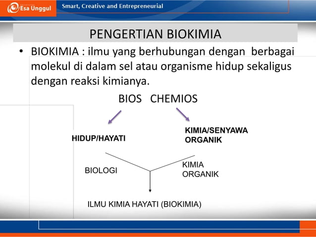 Pengantar Dasar Biokimia-Farmasi-123.pdf
