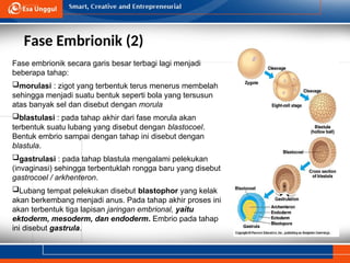 PPT-UEU-Biologi-Dasar-Pertemuan-3manusia hewan tumbuhan.ppt