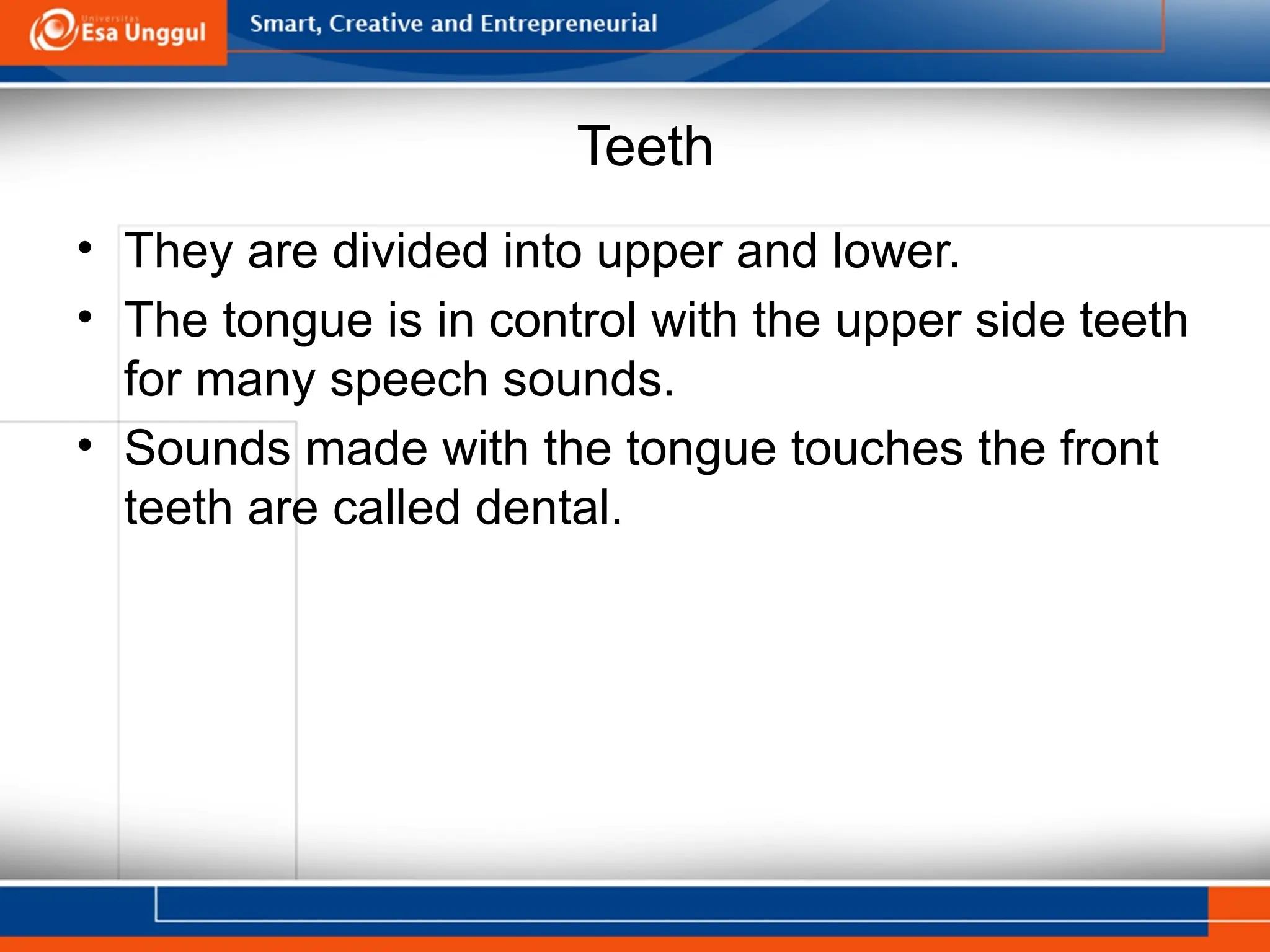 Phonetics and Phonology. Branches of phonetics.pptx