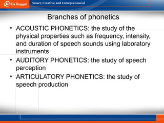 Phonetics and Phonology. Branches of phonetics.pptx