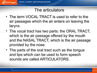 Phonetics and Phonology. Branches of phonetics.pptx