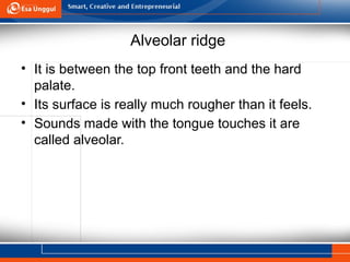 Phonetics and Phonology. Branches of phonetics.pptx | Dental Health ...
