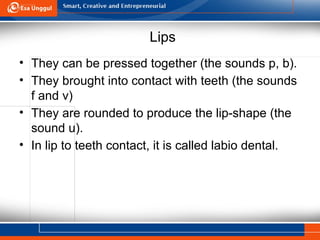 Phonetics and Phonology. Branches of phonetics.pptx